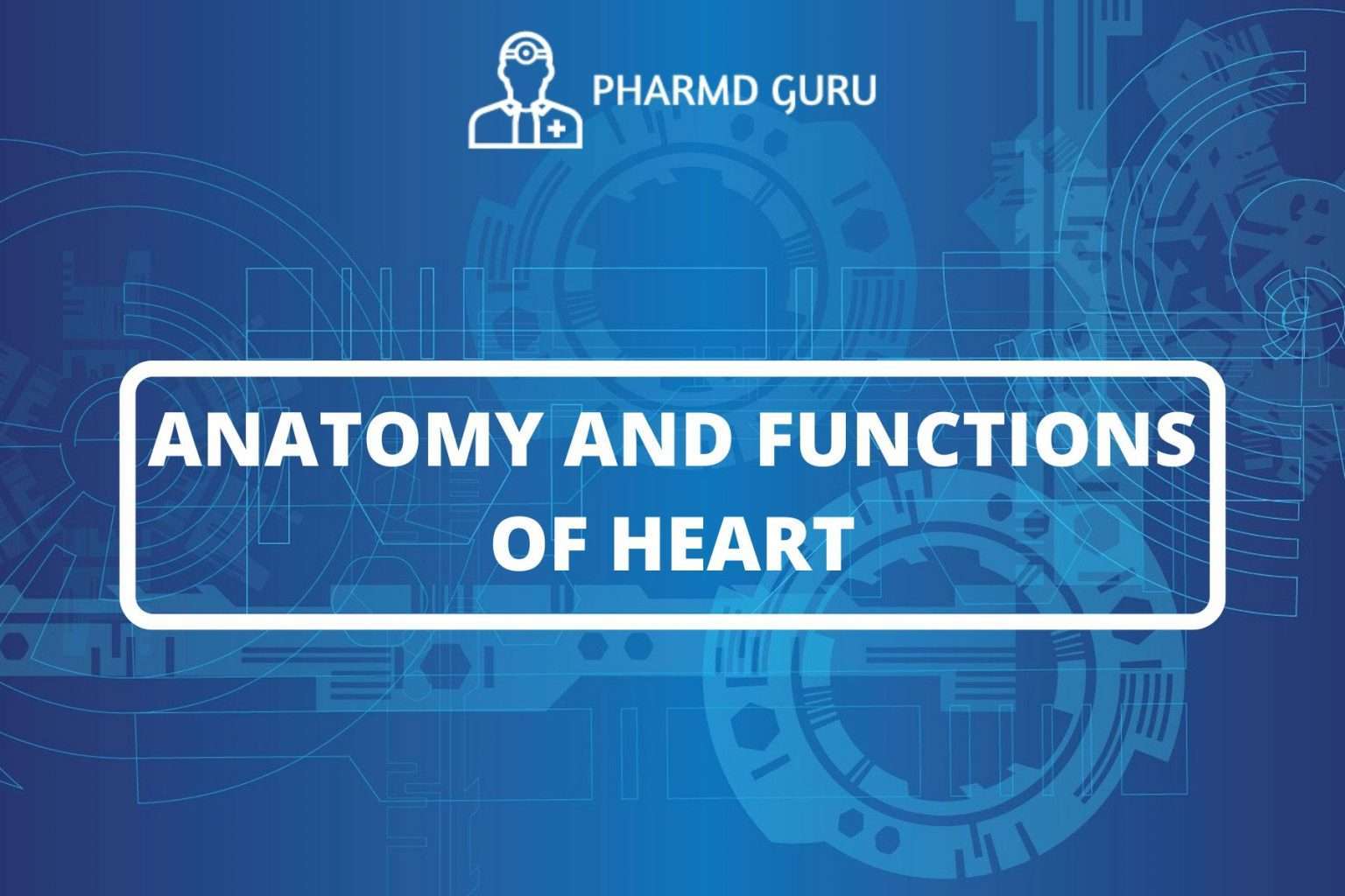 Anatomy and physiology - PHARMD GURU